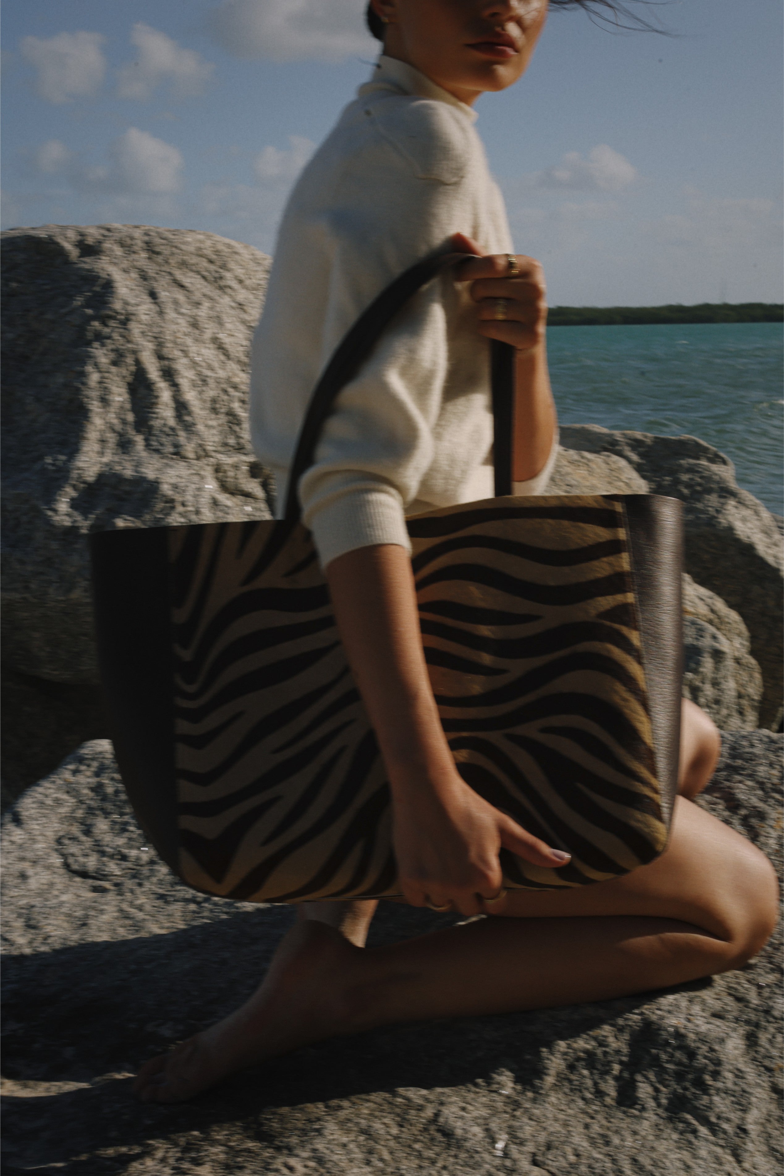 Savanna Brown Zebra Calf Hair Tote | Streets Ahead – StreetsAheadInc